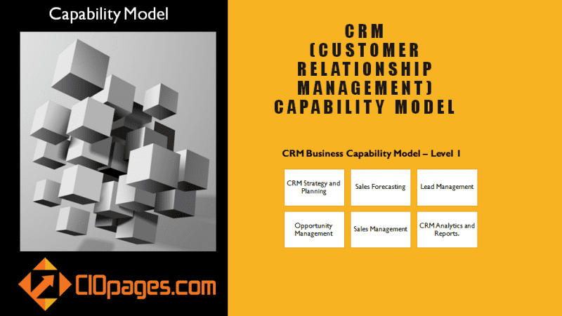 CRM Capabilities Model: Customer relationship management capabilities